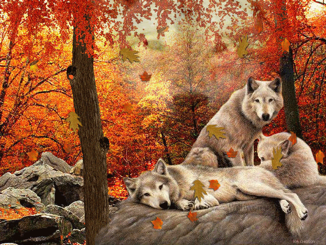 Wolves With Falling Leaves gif by Autumn_Fire_Wolf | Photobucket