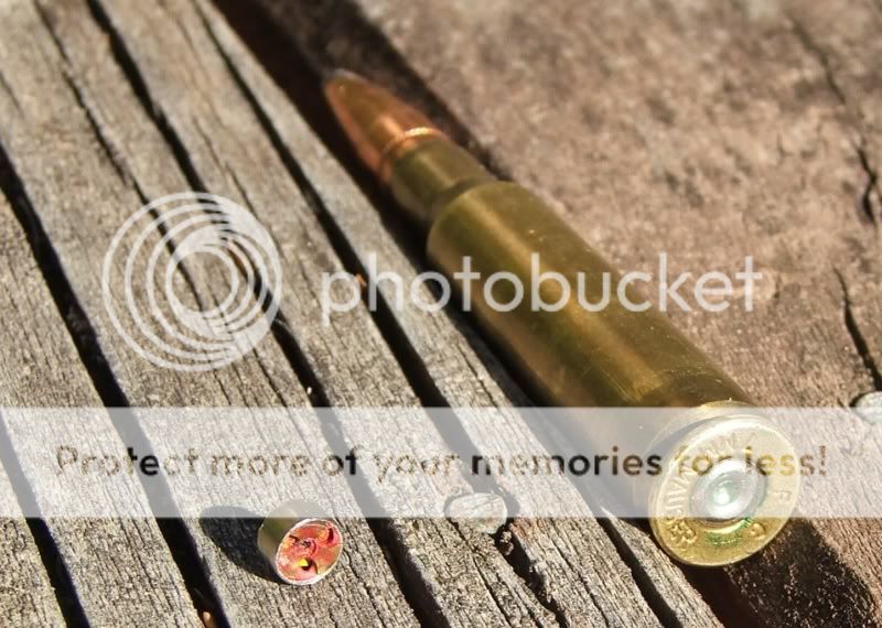 Federal primers let me down? Or is there another possible explanation ...