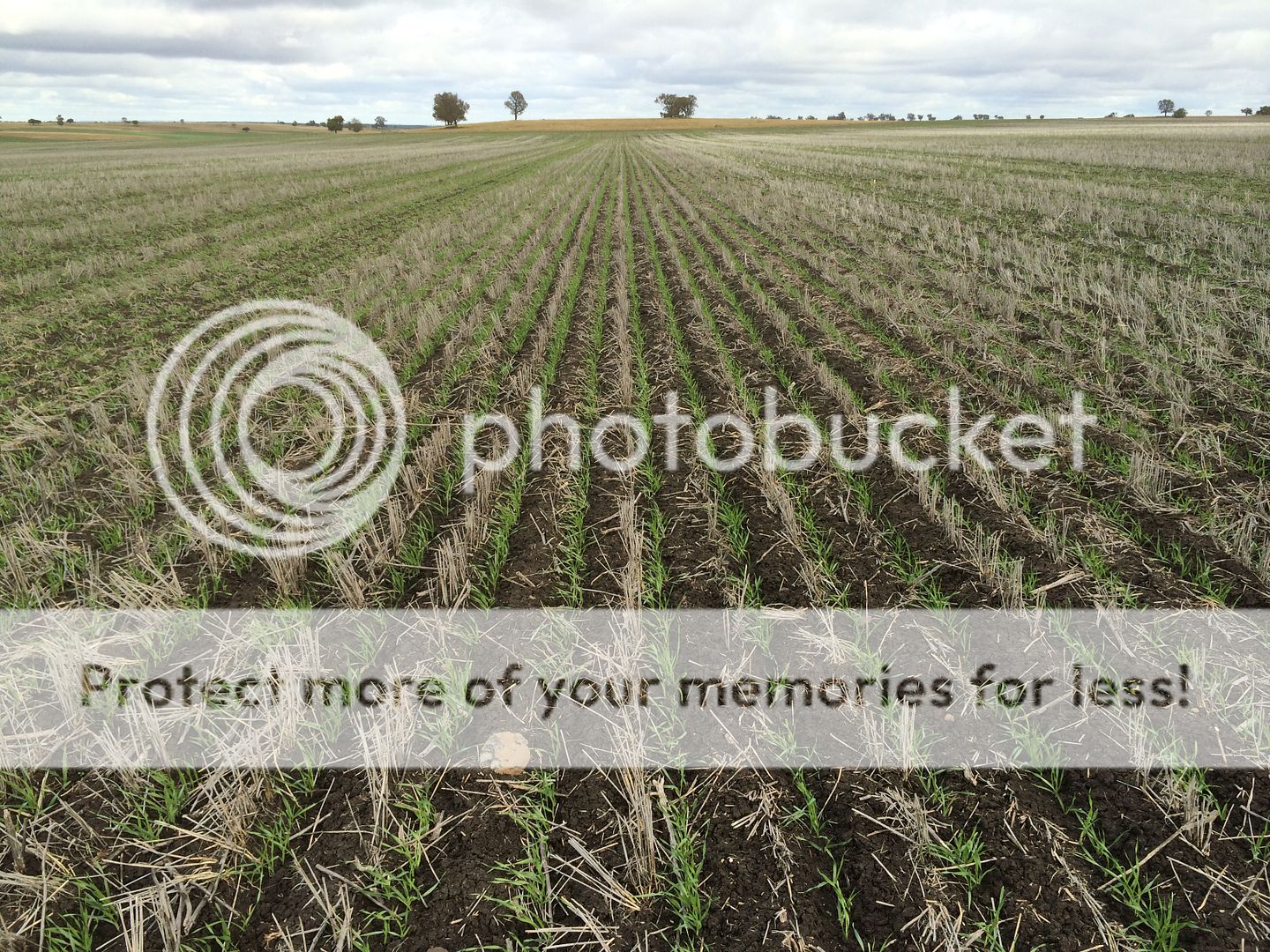 New Holland P2070 openers? | The Combine Forum