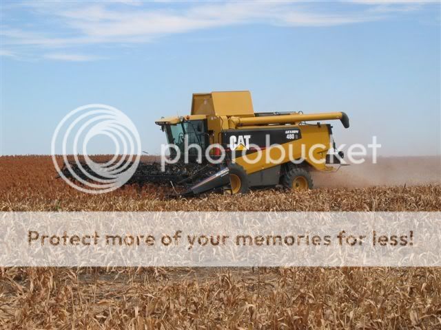 2007 sorghum (milo) Harvest pics | The Combine Forum
