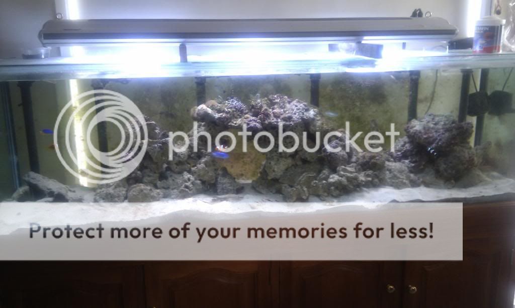 180 GALLON SALTWATER (FOWLR) START UP | MonsterFishKeepers.com